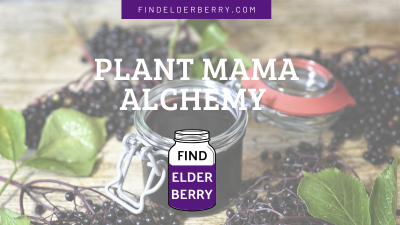 Plant Mama Alchemy Elderberry Syrup | made in Gwynn Oak Maryland